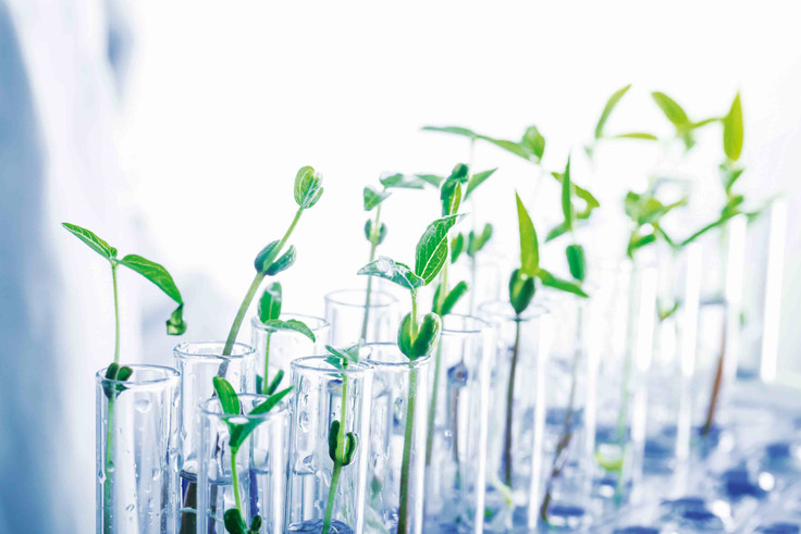 Press article | Oemeta